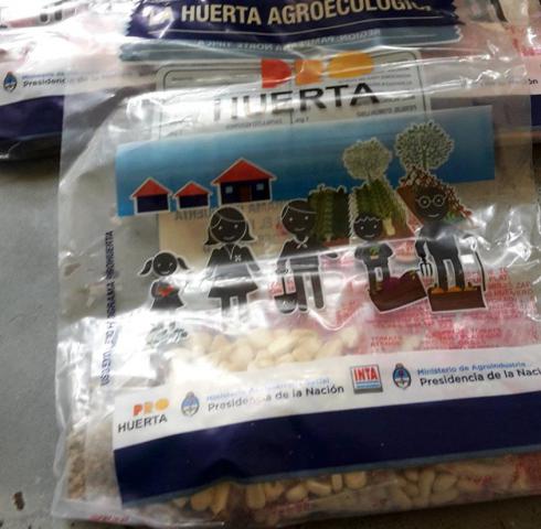 Llegaron las semillas Pro Huerta – Diario El Debate Pregón