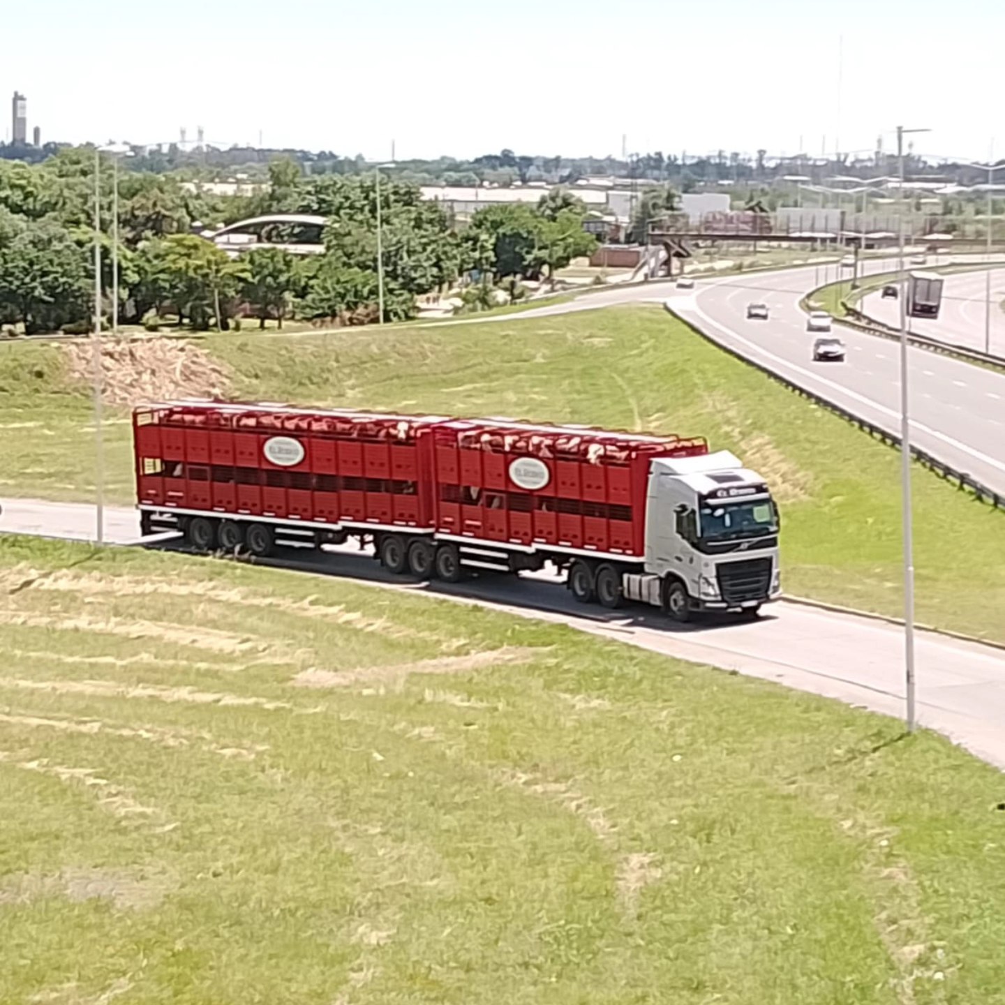 El Rodeo apuesta a la innovación con un Bitren ganadero – Diario El ...