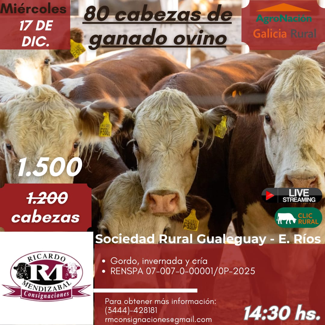 Gran Remate de Mendizábal en Gualeguay y repaso del último encuentro ...