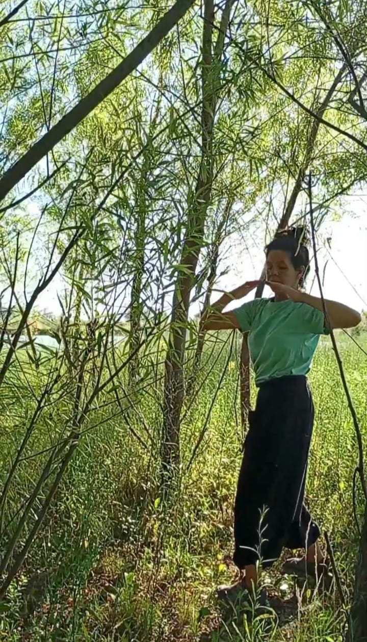 Chi Kung Terapéutico-Cultivar nuestra sakud de manera natural